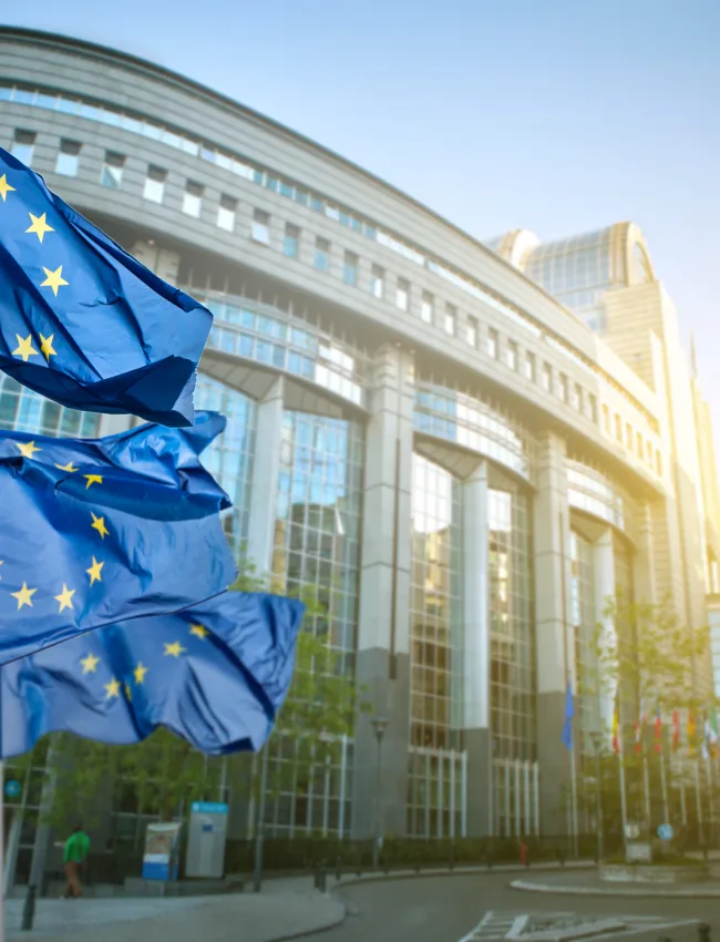 Information Session for Potential Applicants to the CERV Project ...