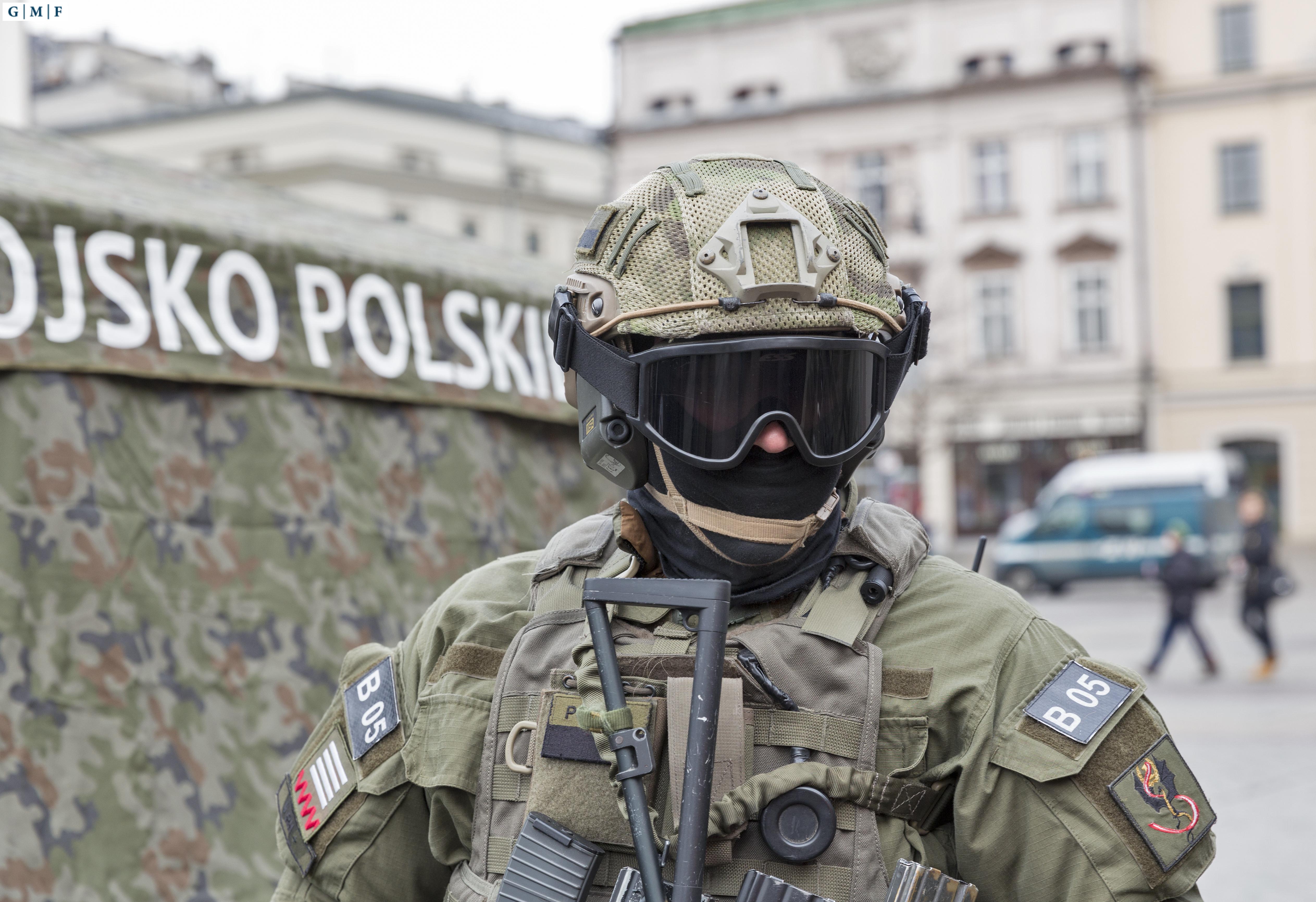 “NATO Has to Further Reinforce the Eastern Flank” | German Marshall ...